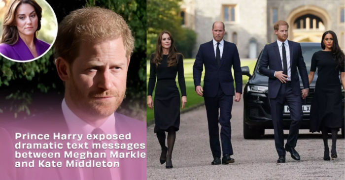 Prince Harry exposed dramatic text messages between Meghan Markle and Kate Middleton - Troublism
