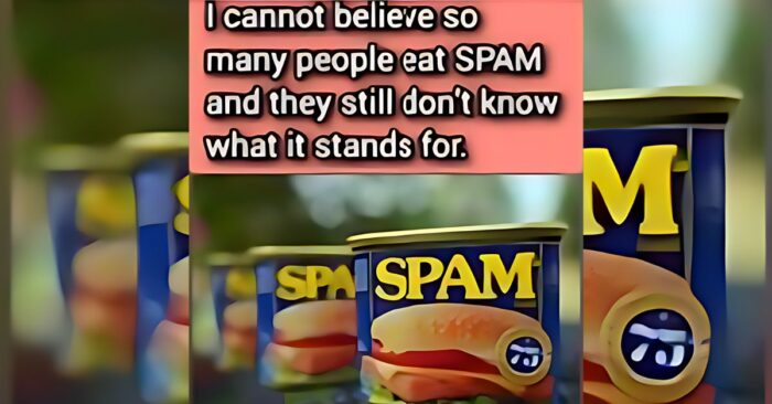 Uncovering the Fascinating World of SPAM - Troublism