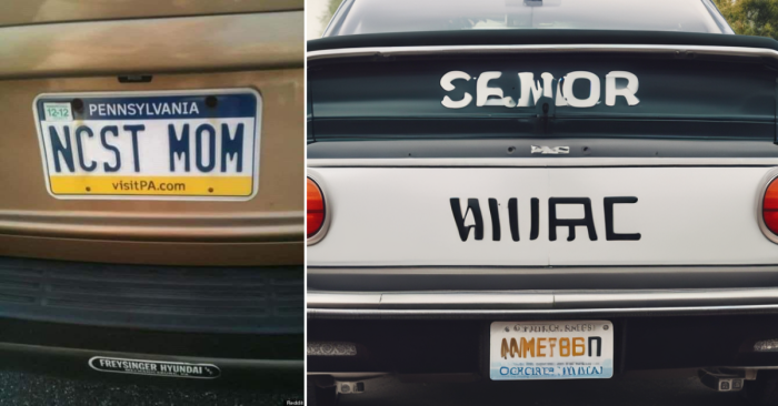 This Clever License Plate Is Making Waves for Surprising – Look At It ...