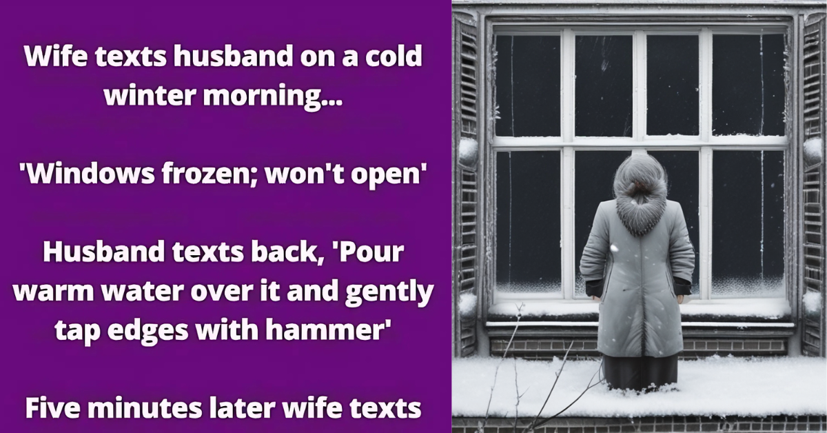 Frozen Windows: A Hilarious Misunderstanding - Troublism