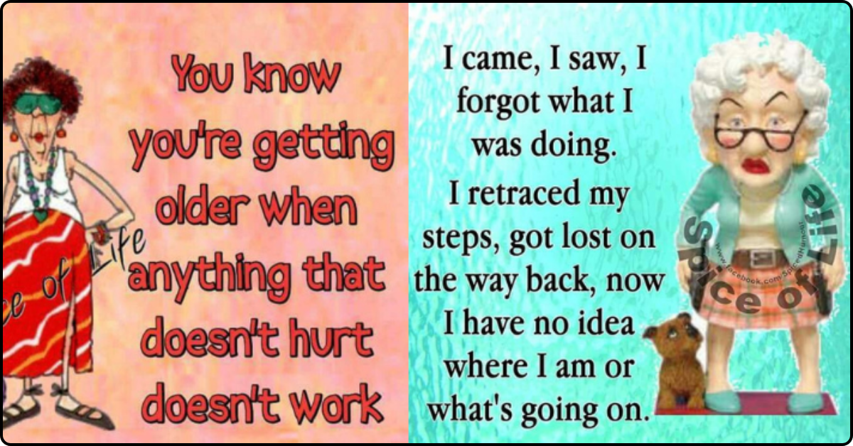 20 Amusing Old lady Cartoons That Depicts Funs of Her Life