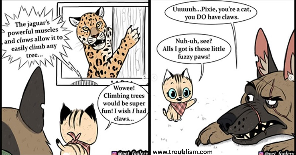 6 New Comic Strips Of Pixie And Brutus Adventures