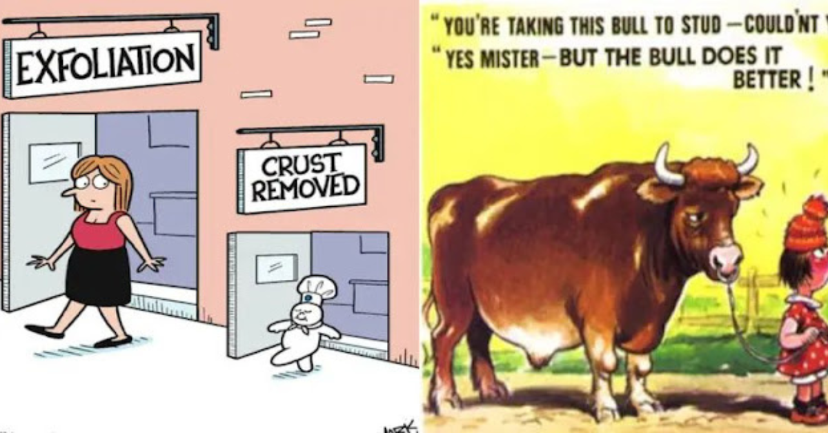 19 Humorous Comics For People Like Funny Comics