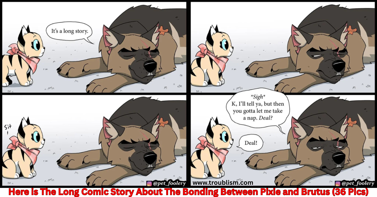 The Bonding Between Pixie and Brutus (36 Pics)