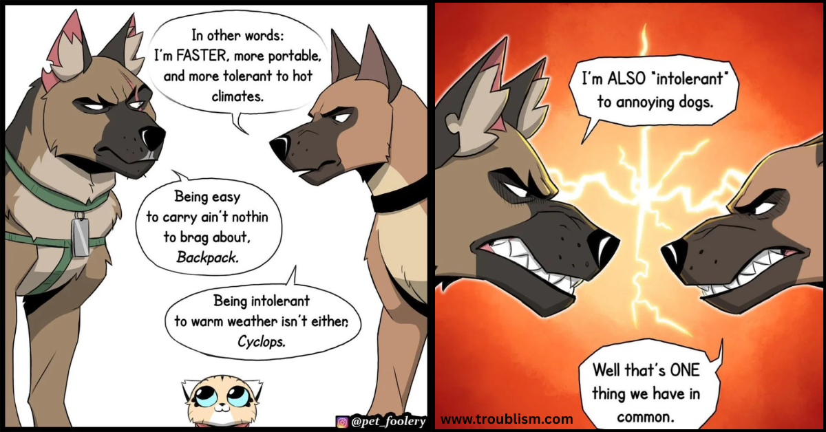 The Friendship Of Pixie and Brutus (29 Drawings)