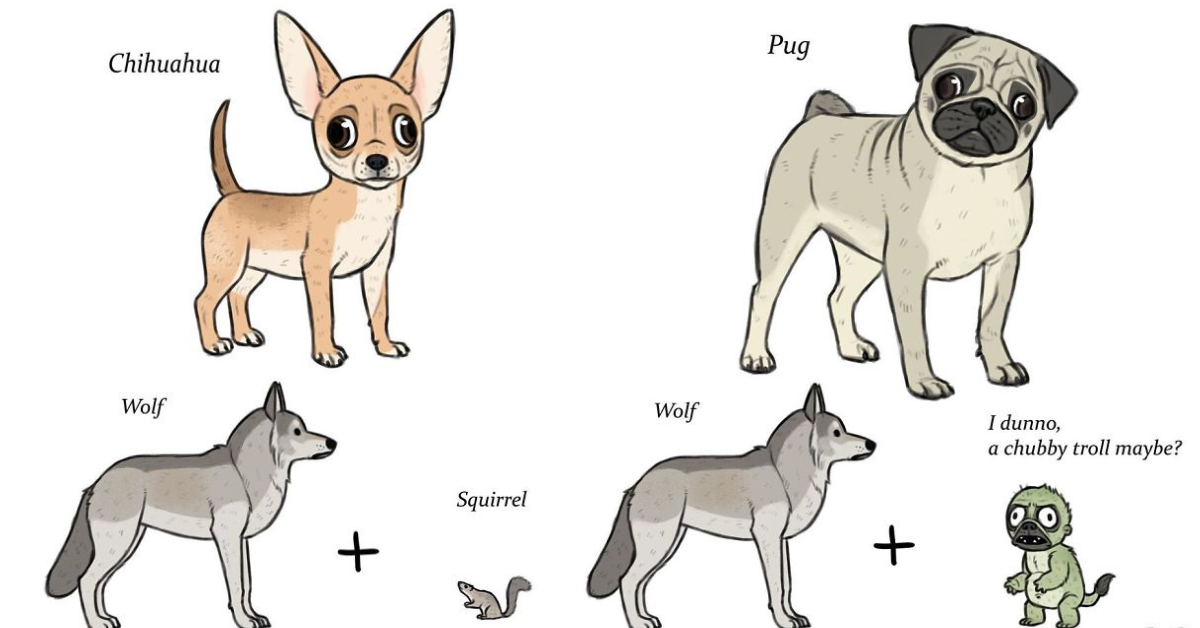 The Origins Of Well-Known Dog Breeds And It’s Hilarious