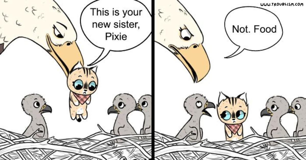 3 beautiful pixie and brutus comics by pet foolery