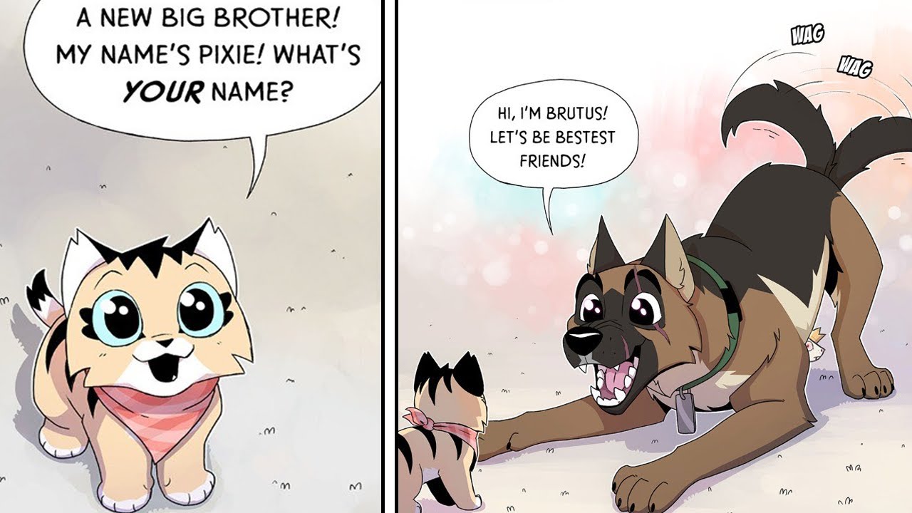 A rewritten version of the entire Pixie and Brutus comic