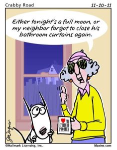 20 Hilarious Maxine comics That'll Make You Think