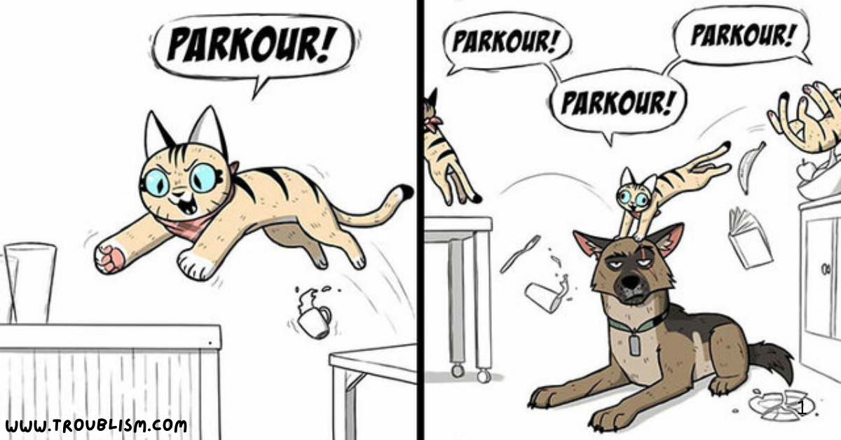 8 New Comic Strips Of Pixie And Brutus Adventures