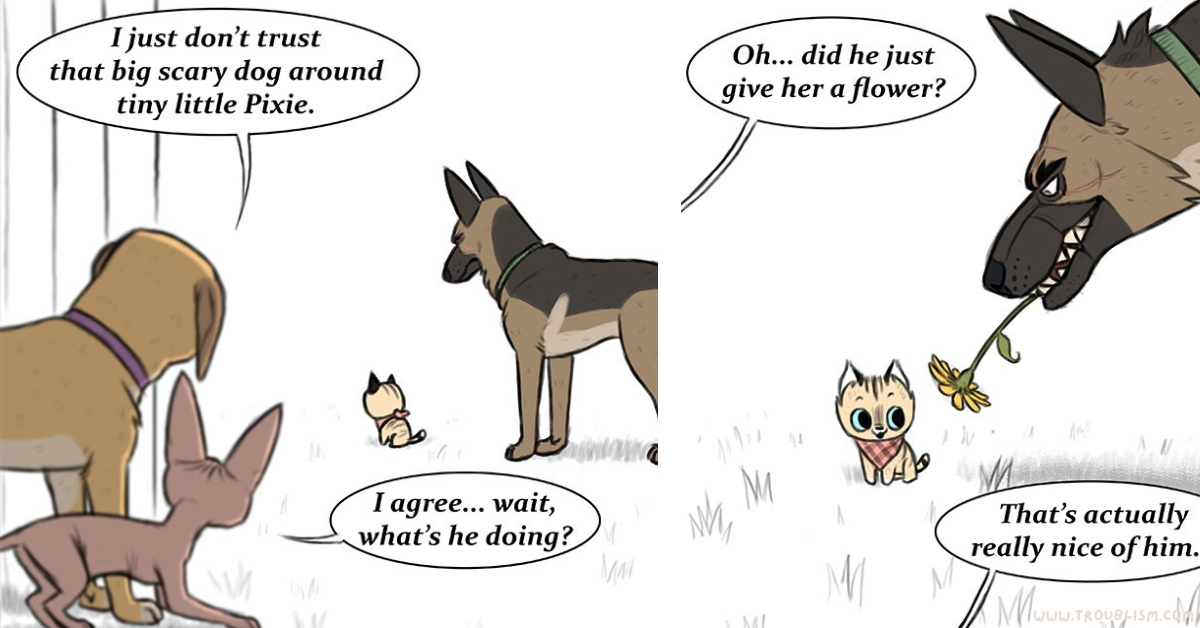 Pixie plays silly Brutus joins laughter turns ordinary day special.